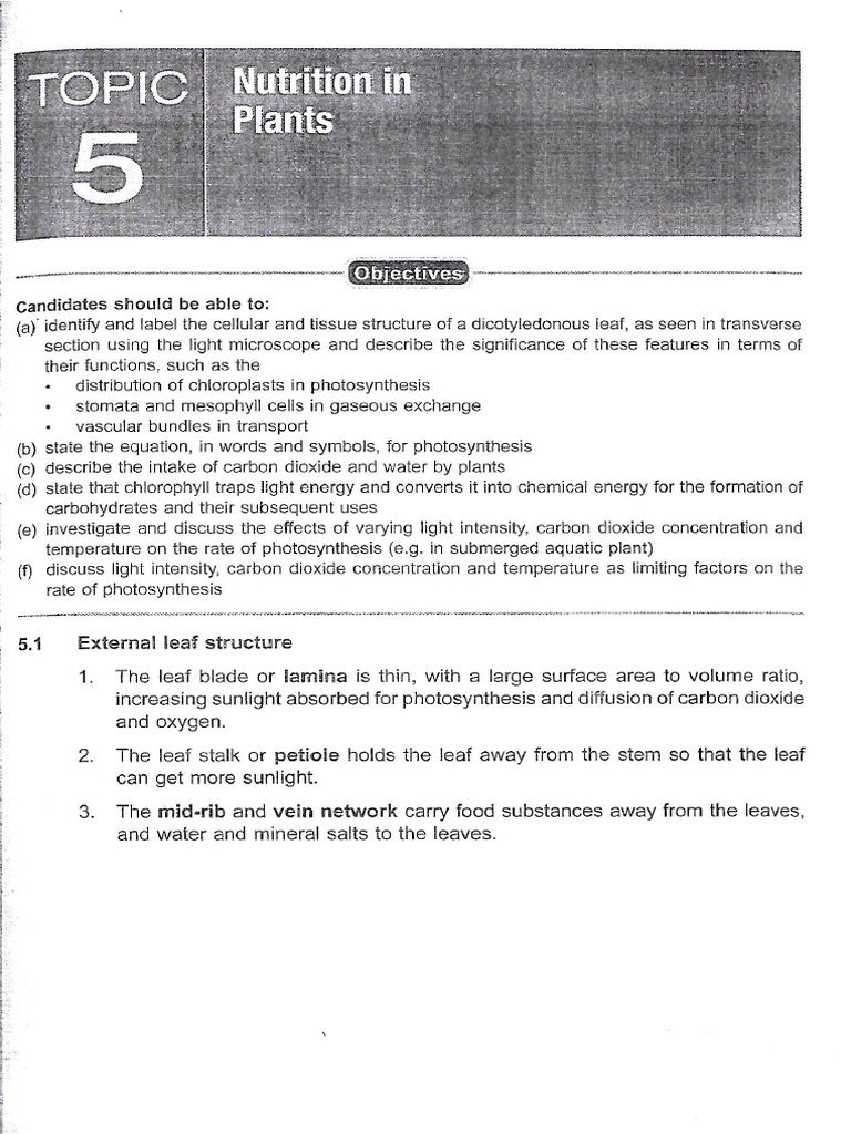 NUTRITION IN PLANTS (Bio) | PDF