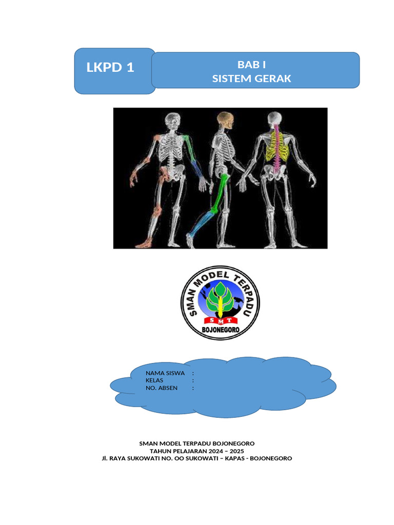 Rangka Penyusun Tubuh Manusia | PDF