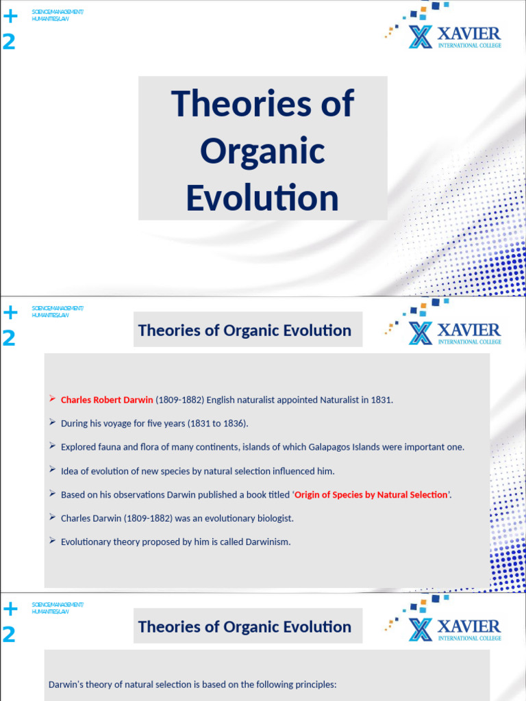 Darwinism | PDF | Natural Selection | Evolution