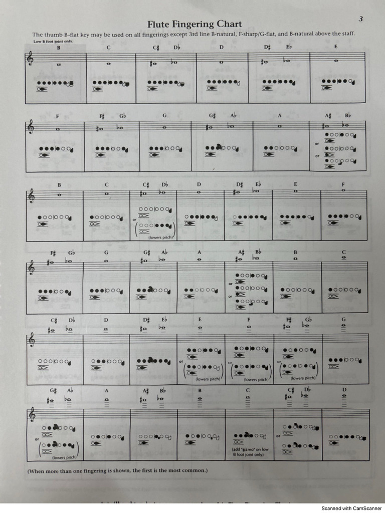 Band Fingering Charts | PDF