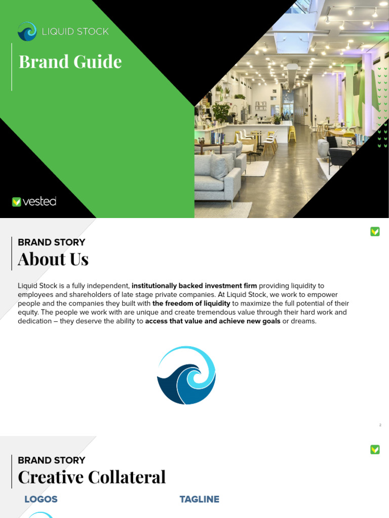 Liquid Stock Brand Guide | PDF | Stocks | Brand