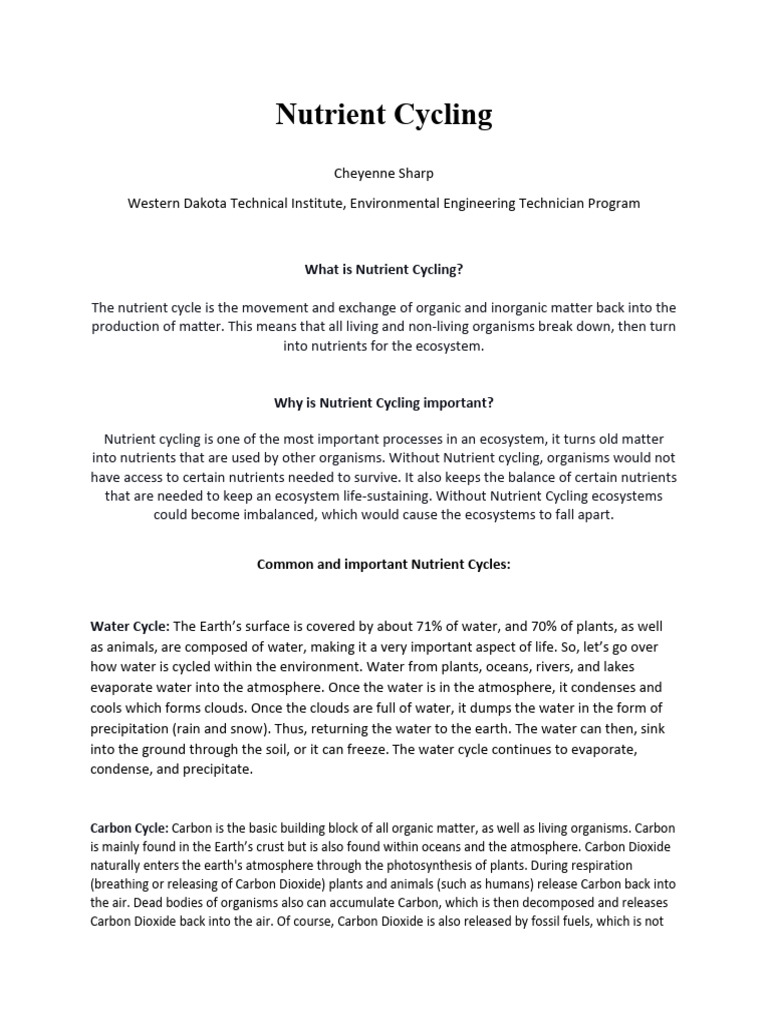 Nutrient-Cycling-Handout | PDF | Carbon Dioxide | Nitrogen