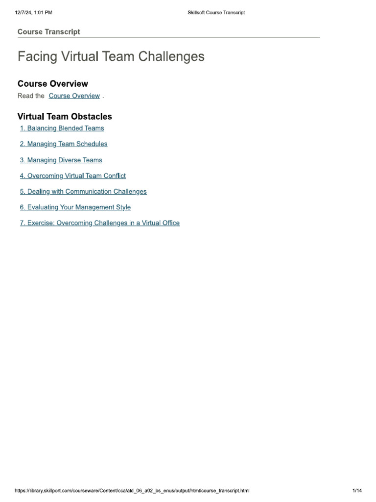 006-Facing Virtual Team Challenges | PDF