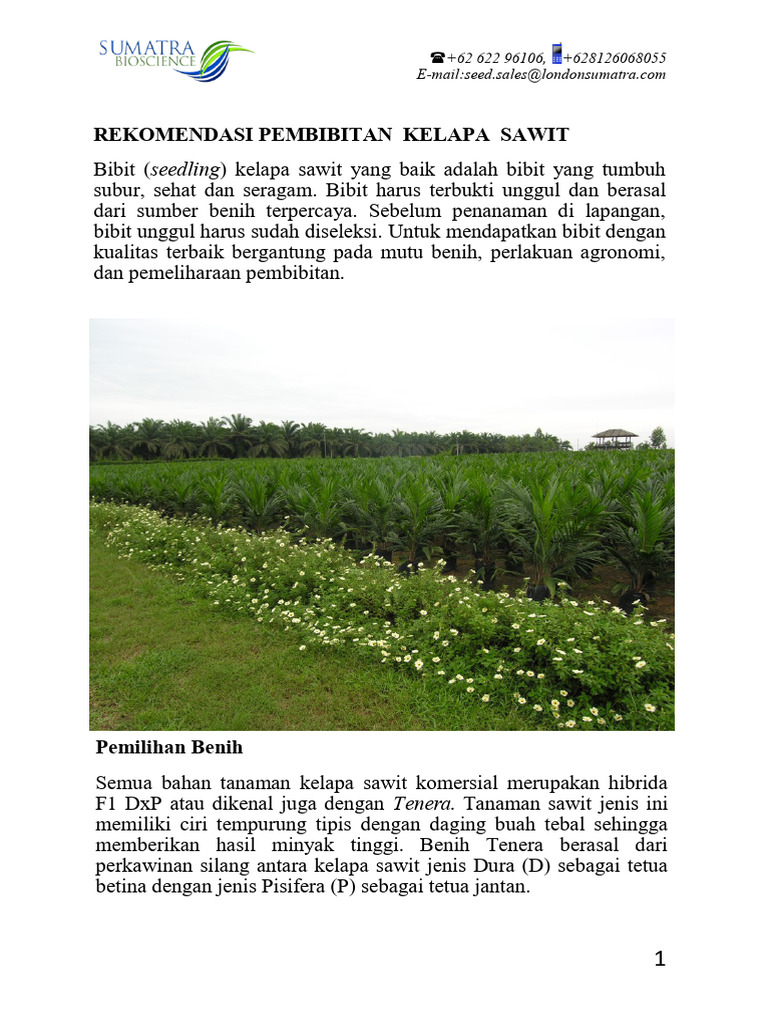 Panduan Pembibitan Lonsum | PDF