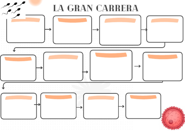 Esquema de la gran carrera | PDF