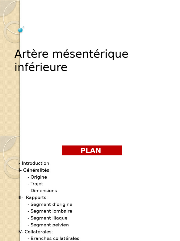 Artere Mesenterique Inf2 | PDF | Aorte | Rectum