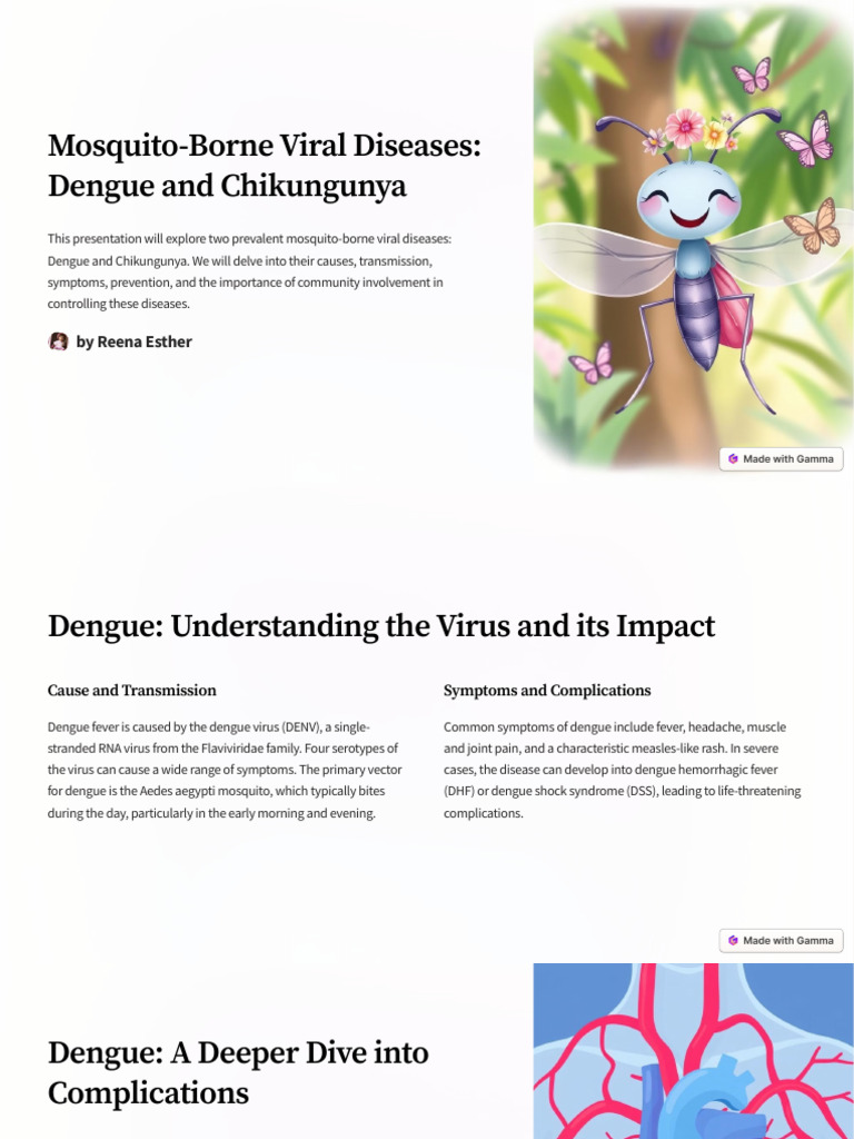 G12 BIO CH 7 SUPPLEMENTARY Dengue-and-Chikungunya | PDF | Clinical Medicine | Health Sciences