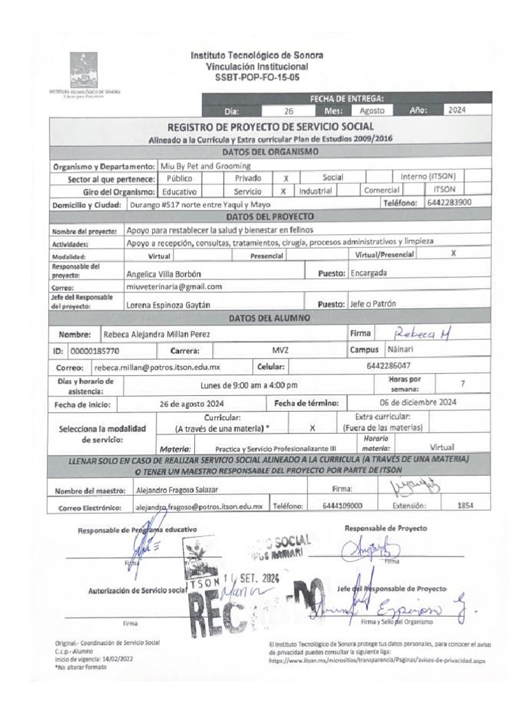 FormatosRegistro PSP III IV V | PDF