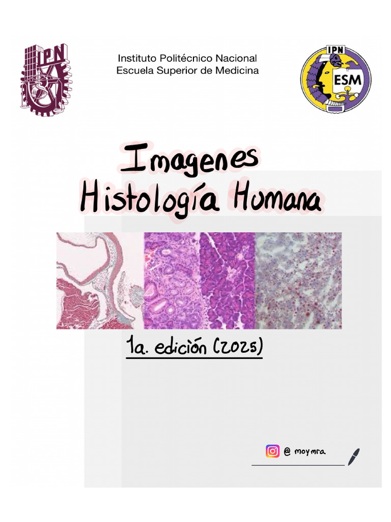 Histo imagenes | PDF