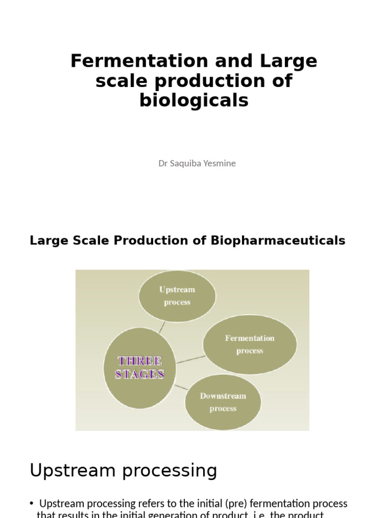 Final Fermentation Biotech Presen | PDF | Growth Medium | Fermentation