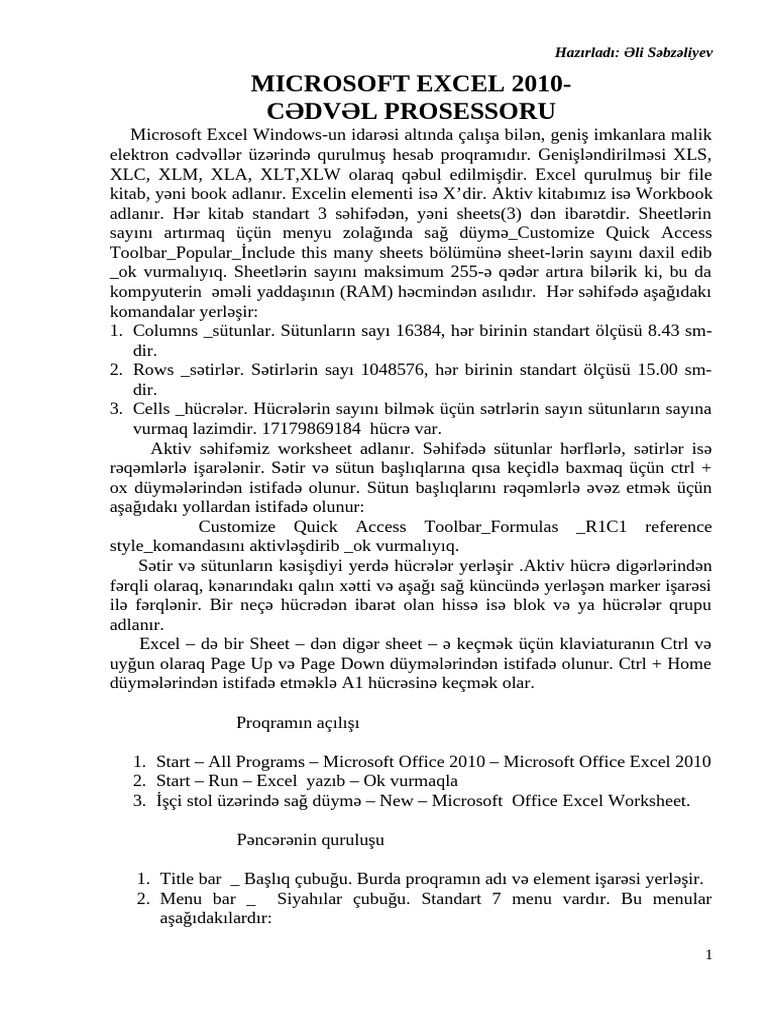 Microsoft Excel 2010 | PDF