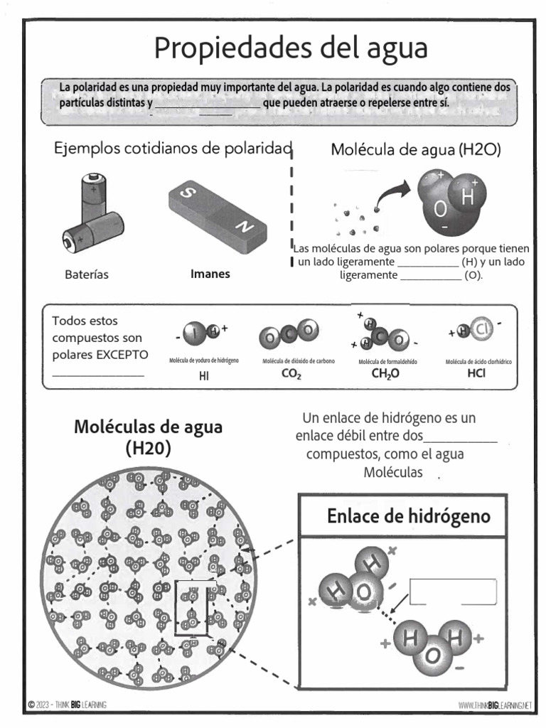 Lab in Spanish | PDF | Polaridad química | Elementos químicos