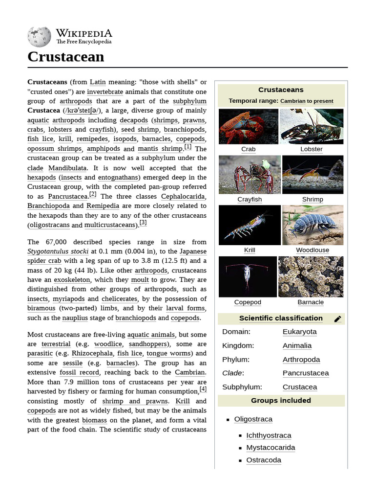Crustacean | PDF | Crustacean | Arthropods