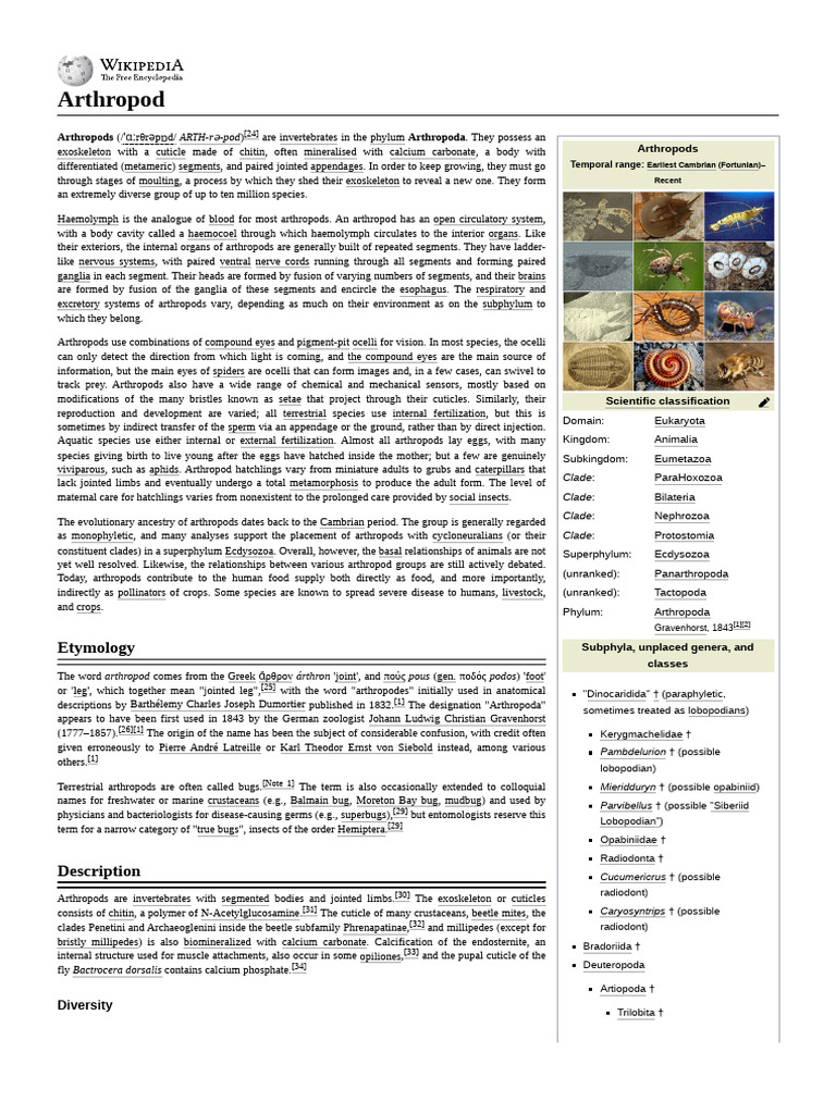 Overview of Arthropods and Their Diversity | PDF | Arthropods