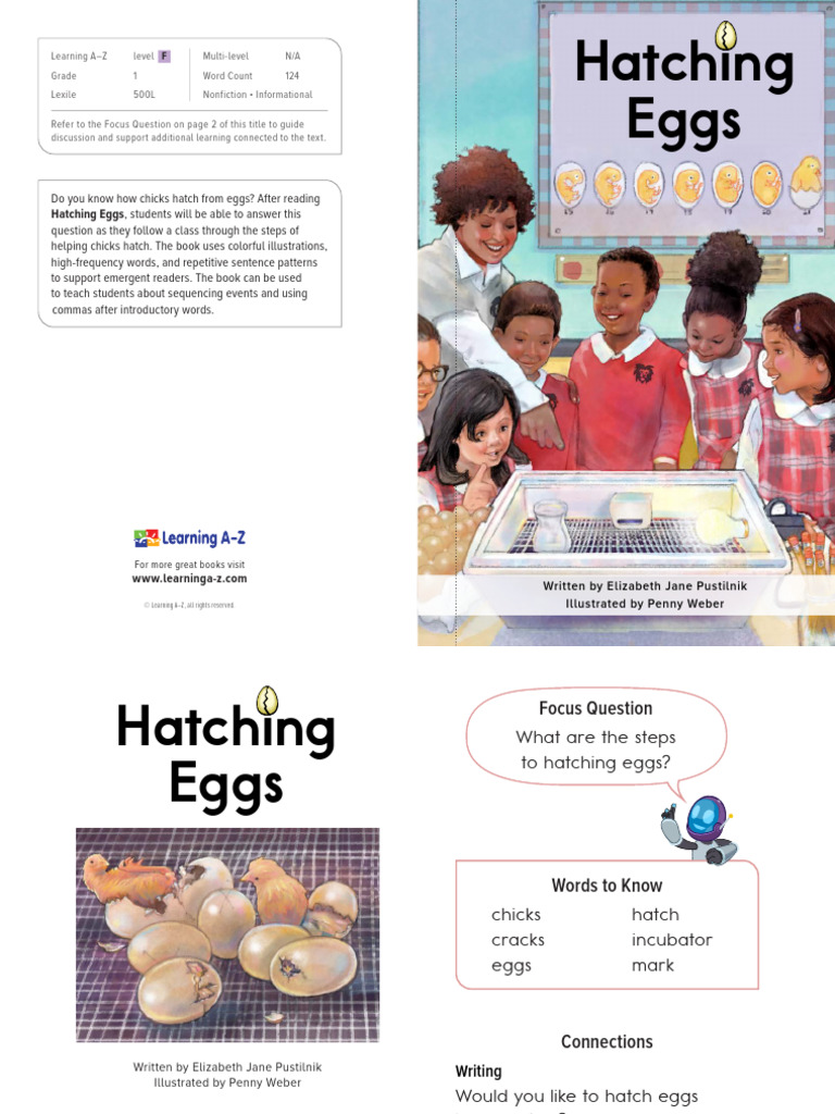 How Chicks Hatch: A Classroom Guide | PDF | Egg | Birds