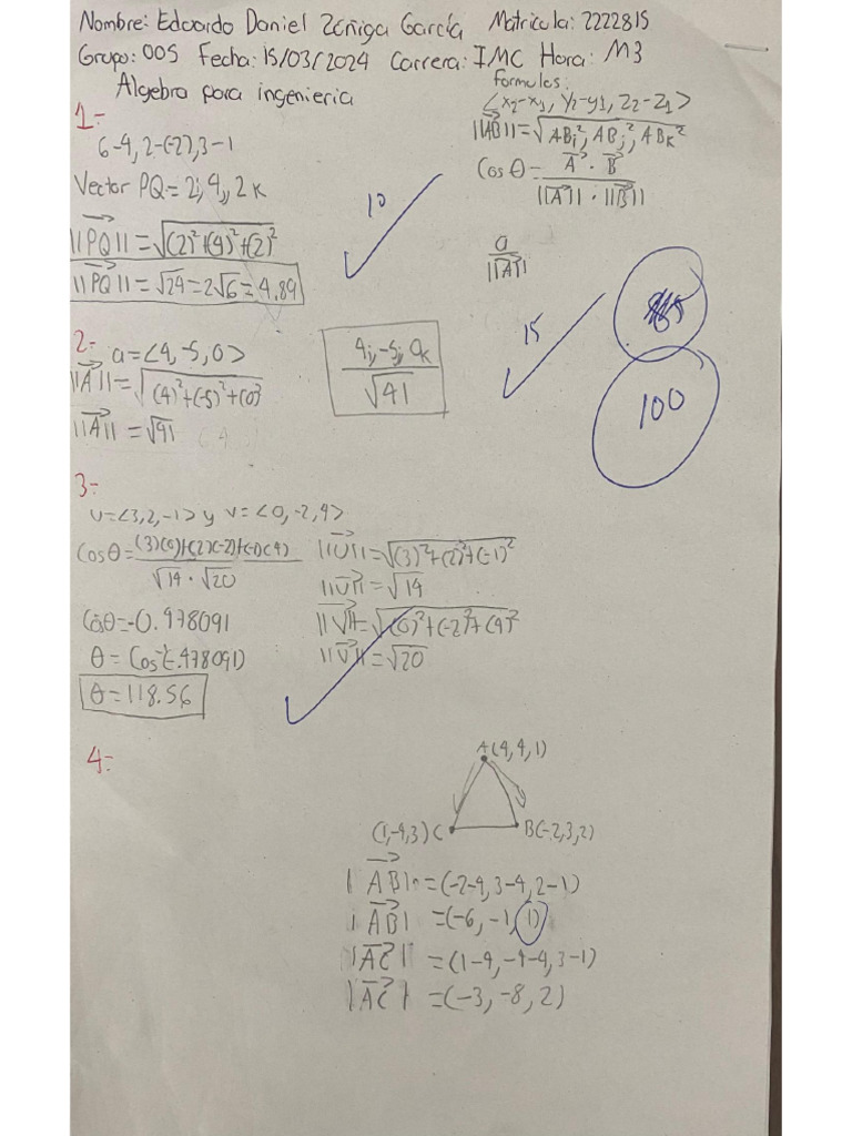 Examen de Medio Curso | PDF