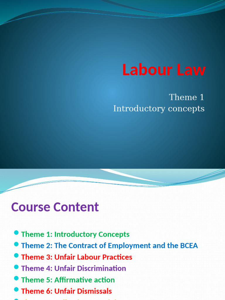 Labour Law Theme 1 2024 | PDF | Discrimination | Labour Law