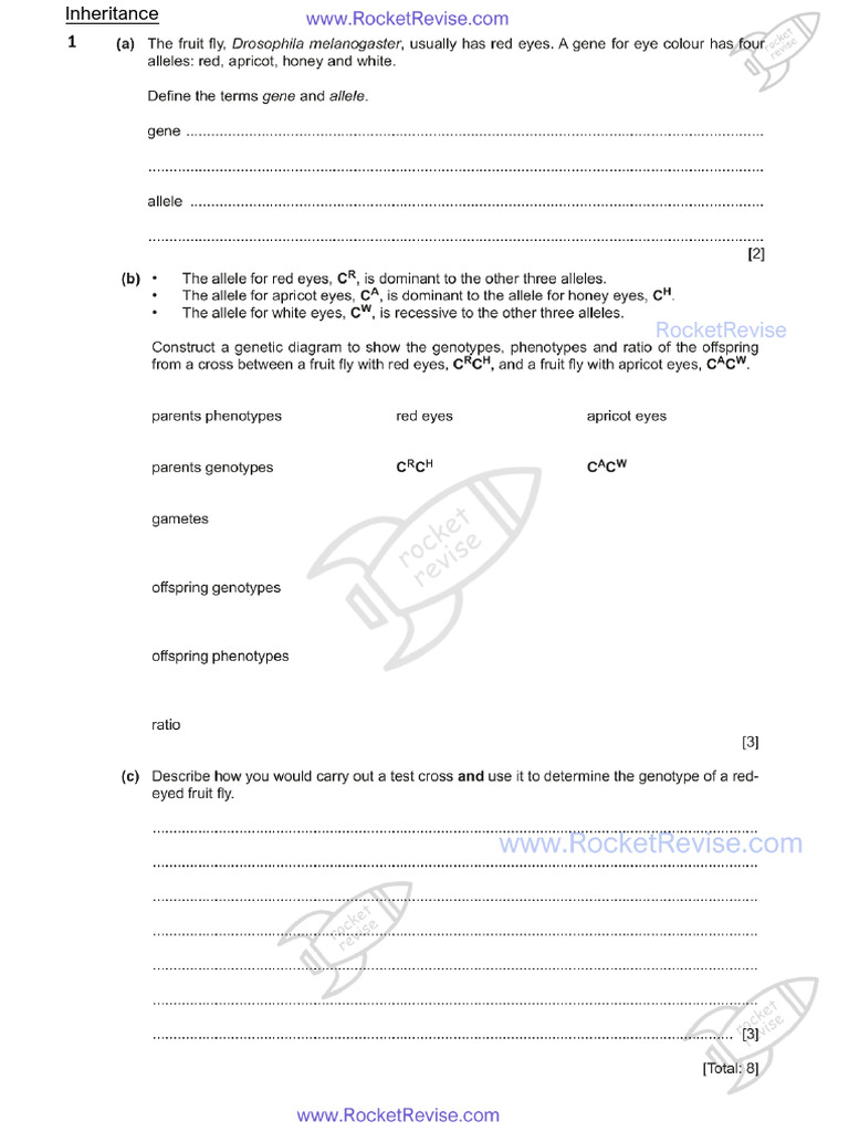 16 Inheritance QP | PDF