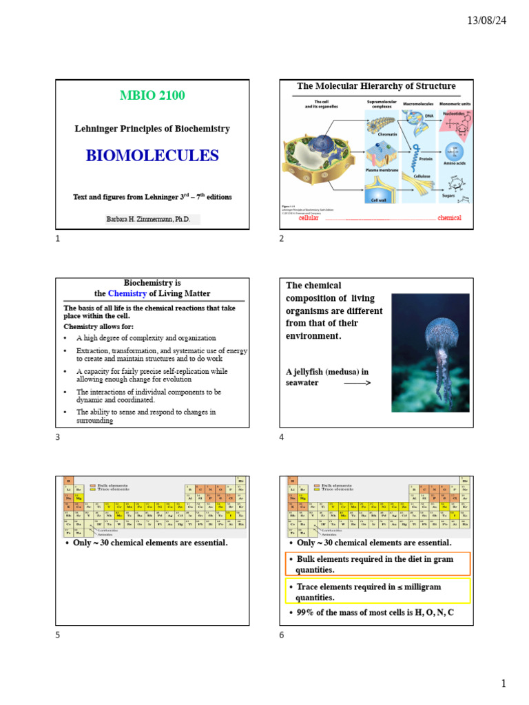 1B Biomolecules Sem 2 2024 | PDF | Nucleic Acids | Macromolecules