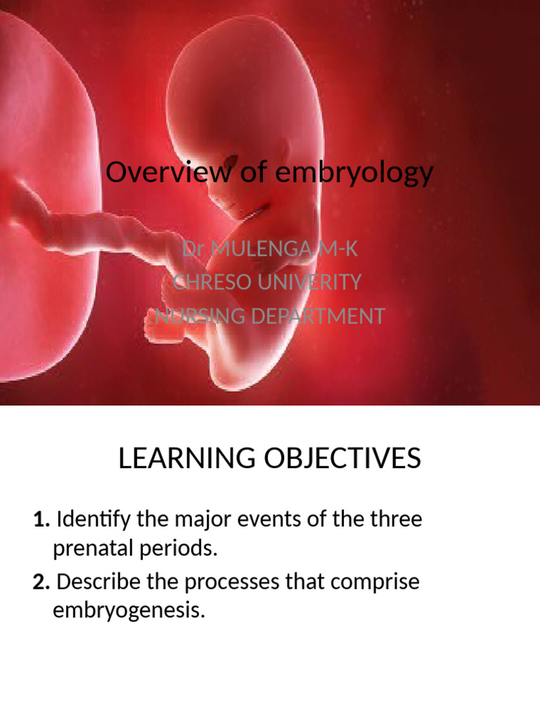 Embryology: Prenatal Development Stages | PDF | Embryo | Placenta