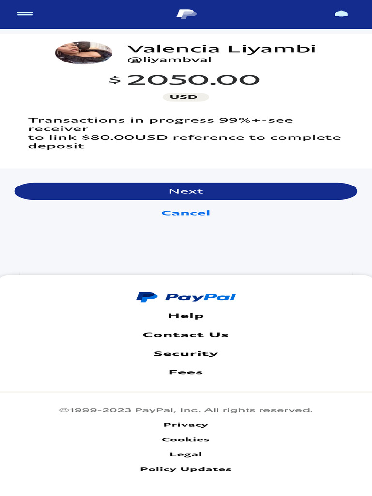 PayPal Send Money Preview | PDF