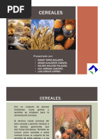 Monografia Del Centeno (Secale Cereale L.) | PDF | Plantas | Comida y bebida