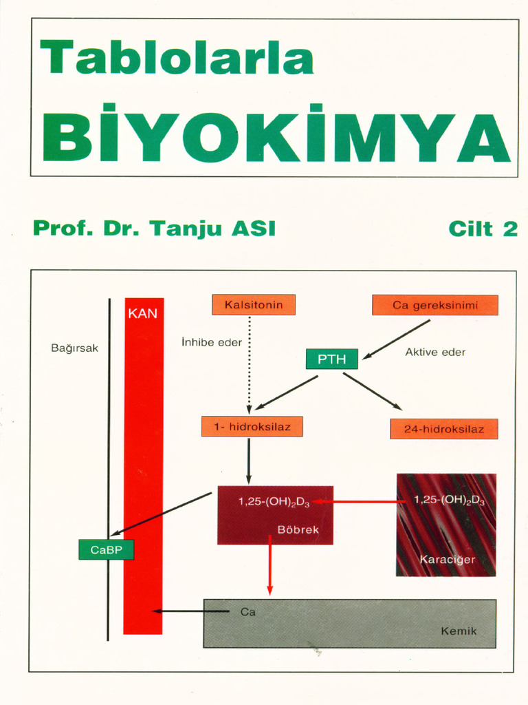 Tablolarla Biyokimya II | PDF