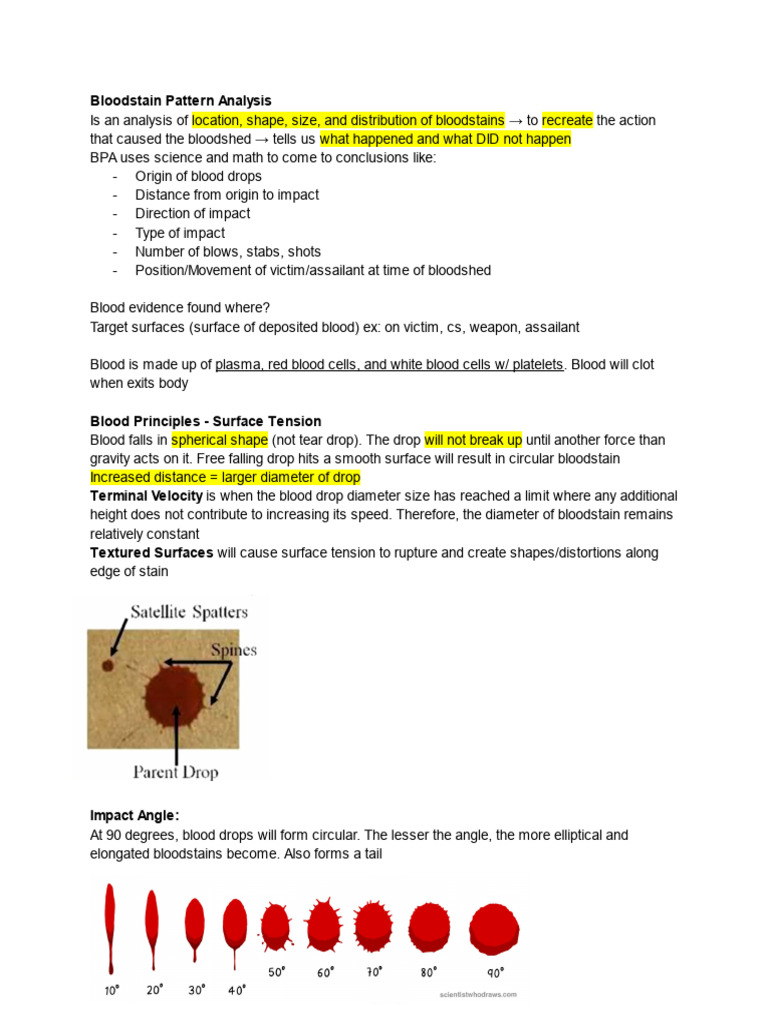 Blood Pattern Bullet Trajectory | PDF
