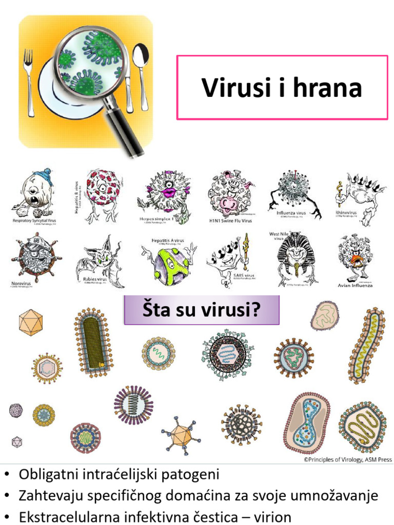 Virusi I Hrana | PDF