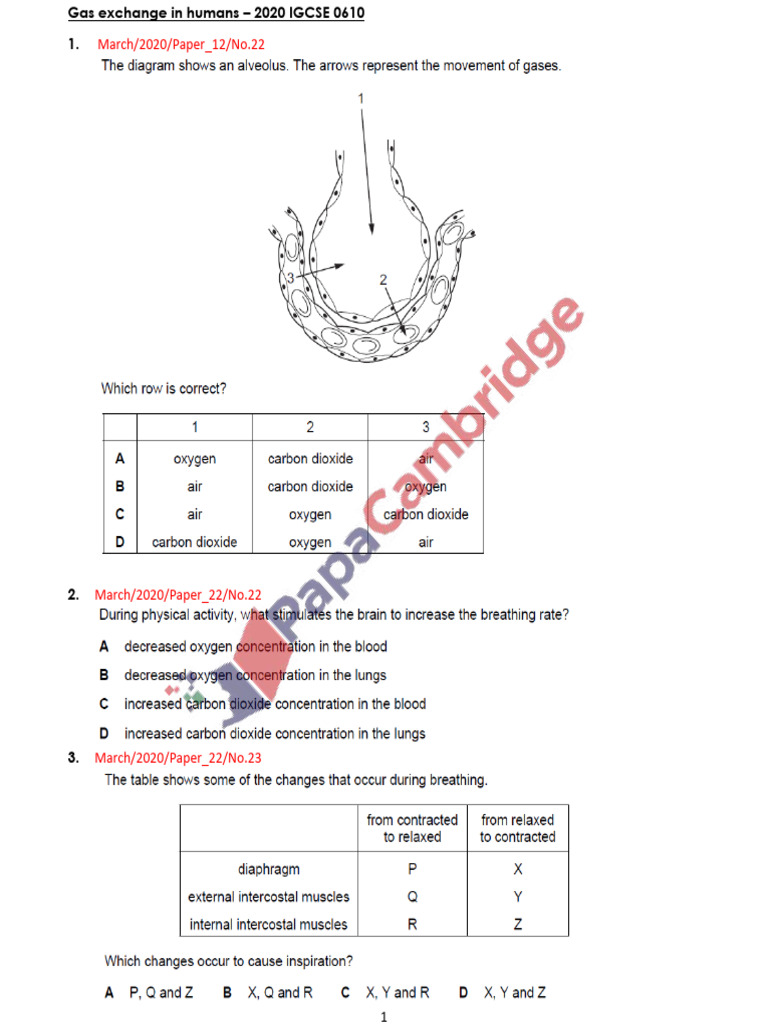 2020J Gas Exchange in Humans IGCSE 0610 Stru | PDF