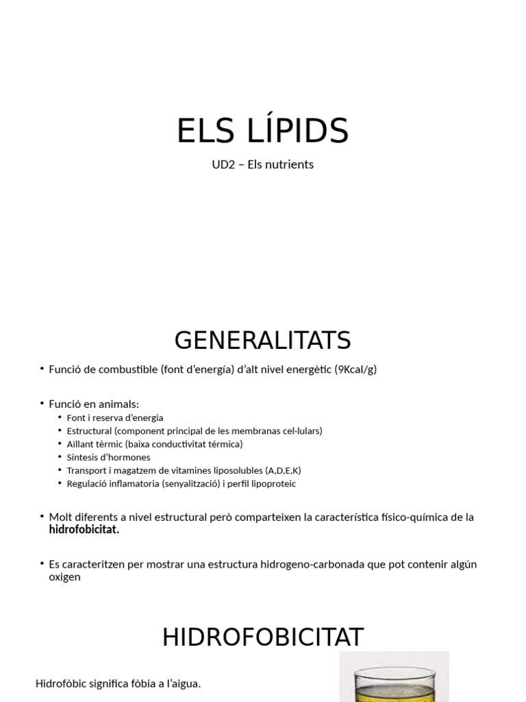 Els Lípids | PDF