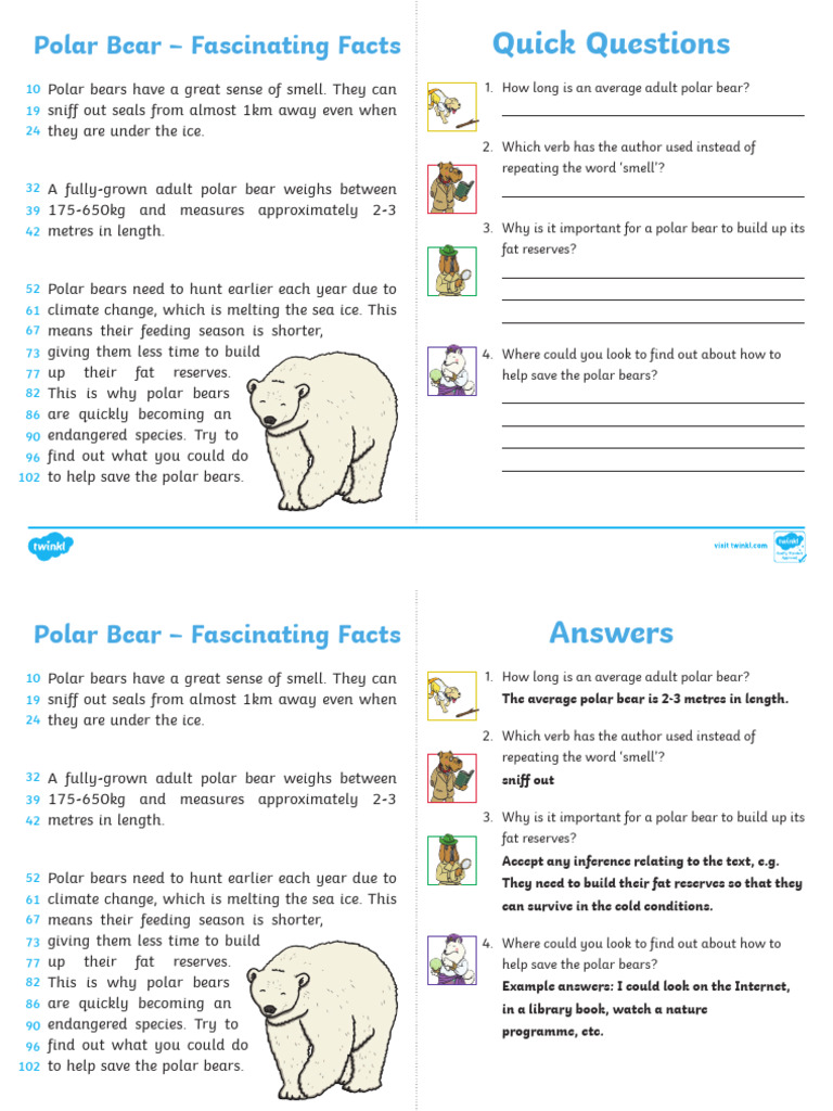 Polar Bear - Fascinating Facts Activity Card | PDF | Polar Bear | Bears