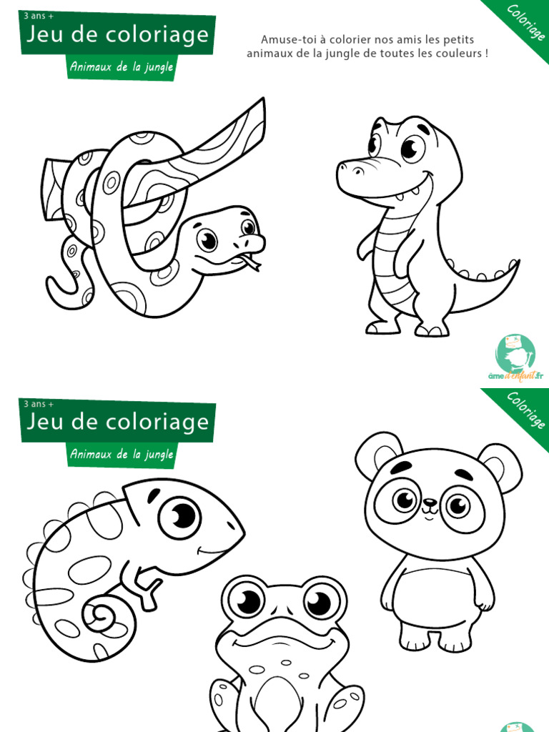 Coloriage Animaux de la Jungle 3+ | PDF