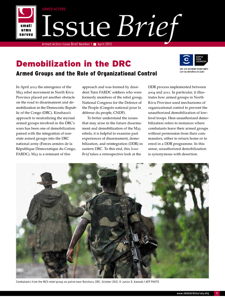 Small Arms Survey - DDR in the DRC | PDF | Democratic Republic Of The Congo