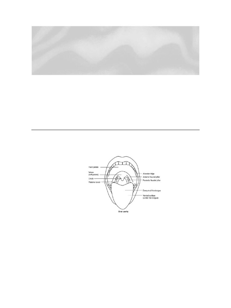 Understanding Velopharyngeal Insufficiency | PDF | Human Head And Neck ...