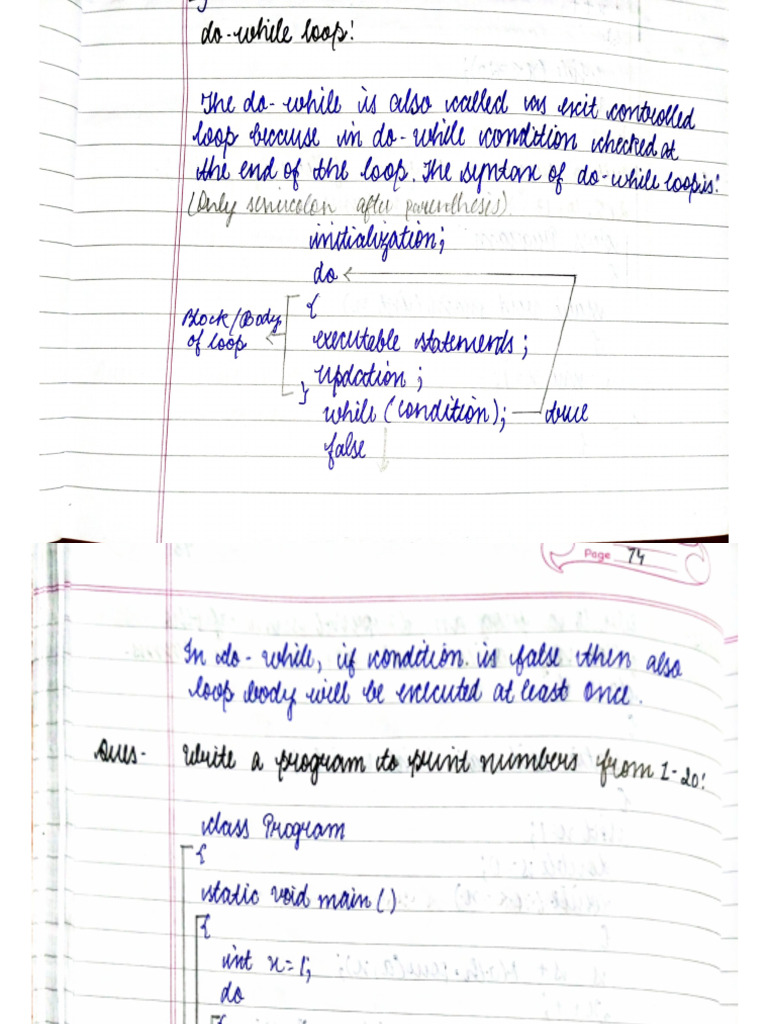 Do-While Programs | PDF