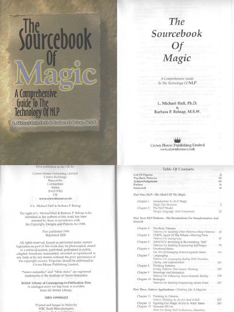NLP Michael Hall - The Source Book of Magic | PDF