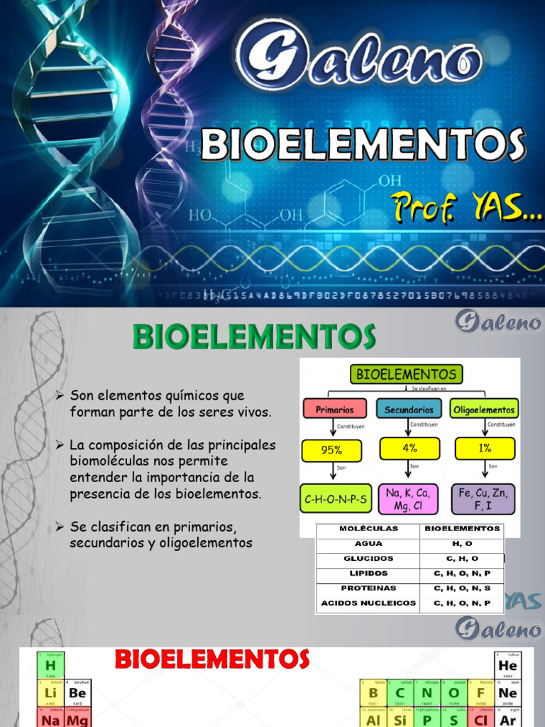 Clasificación y Funciones de Bioelementos | PDF | Calcio | Sangre