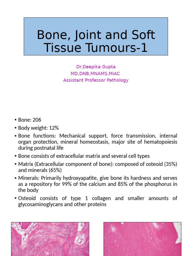 Bone & Soft Tissue 1 | PDF | Bone | Osteoblast