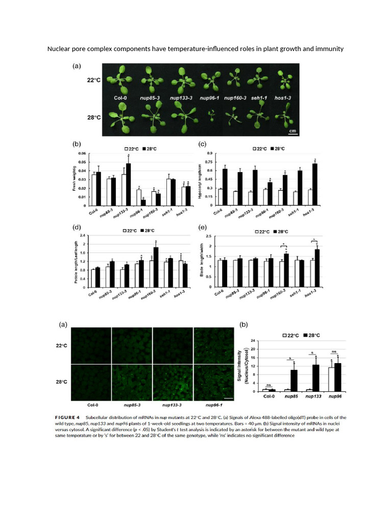 Role of CPR5 Plant Immunity | PDF