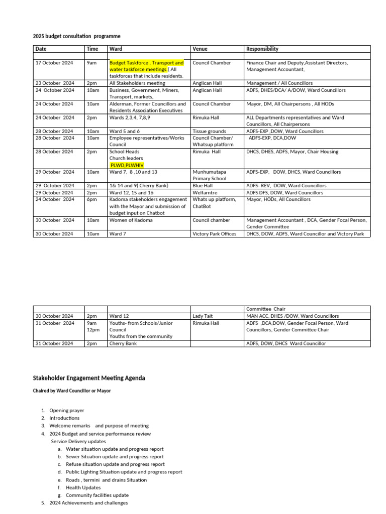 2025 Budget Consultation Programme | PDF | Government | Local Government