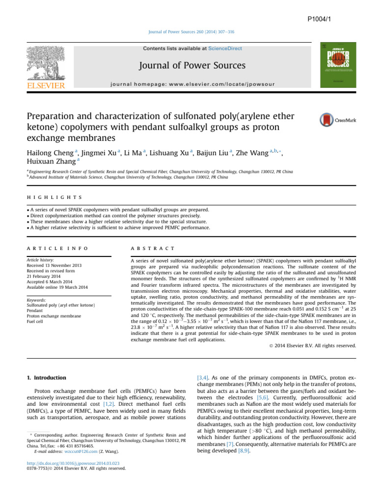 P1004 | PDF | Copolymer | Polymers