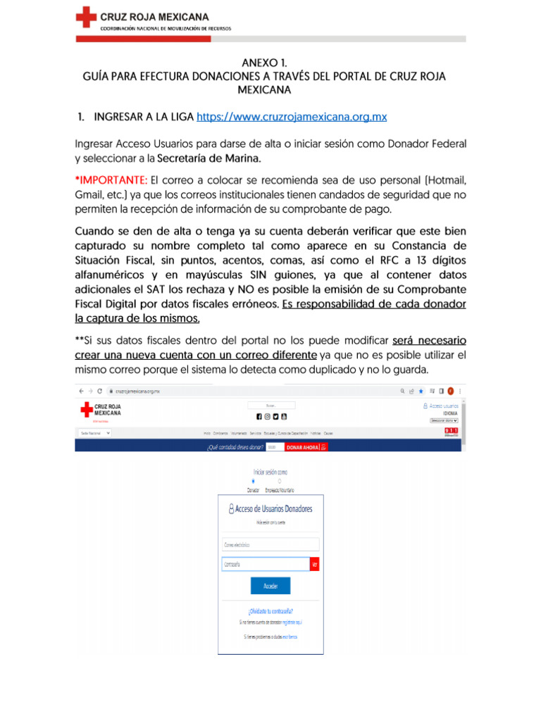 01.-Anexo 1 of 026 Procedimiento Pago Via Porta Cruz Roja | PDF