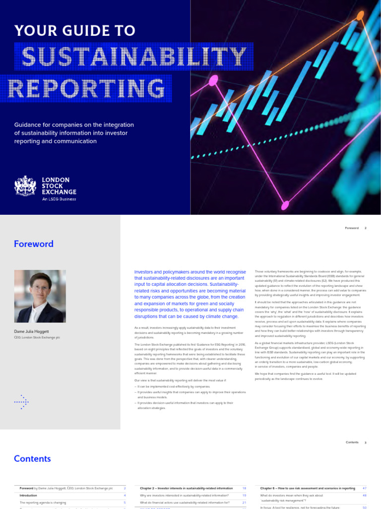 LSEG - Sustainability Reporting Guide - 2024 | PDF | Sustainability ...