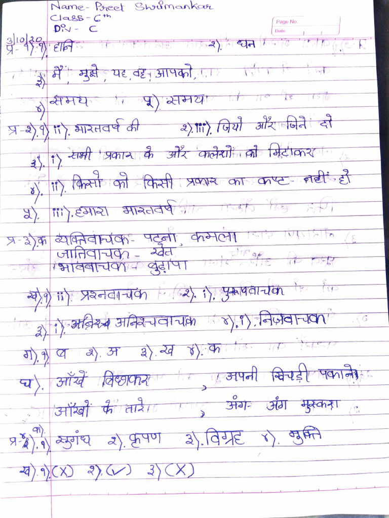 6C Preet Shrimankar Hindi Exam Paper 03.10.20 | PDF