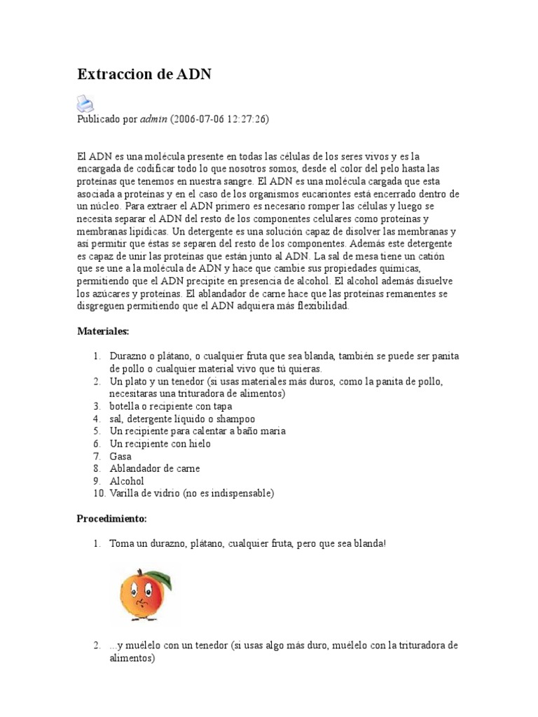 Extraccion de ADN | Descargar gratis PDF | Proteínas | Adn