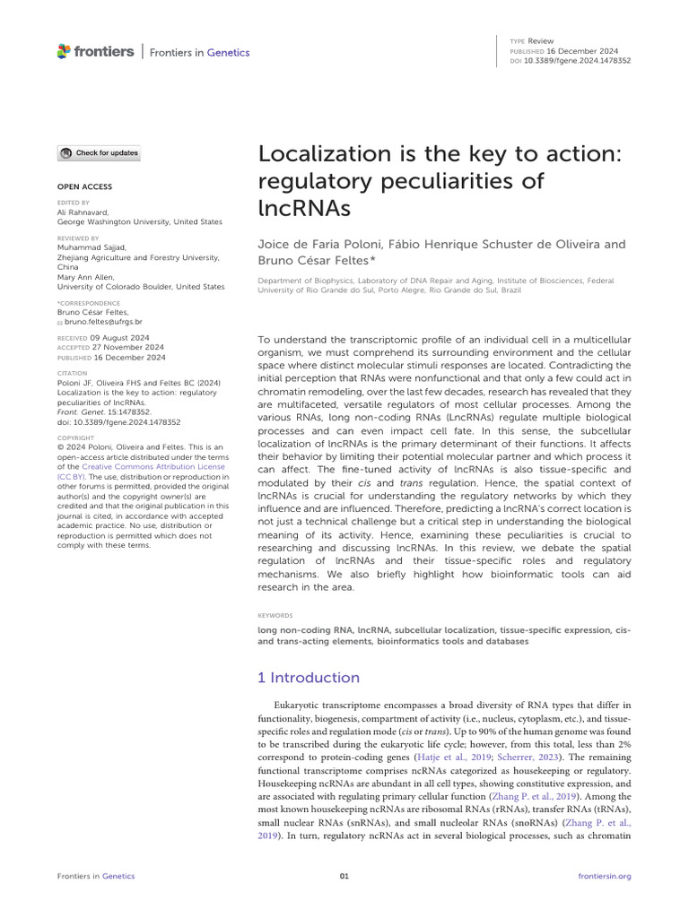 Localization Is The Key To Action - Regulatory Peculiarities of LncRNAs ...