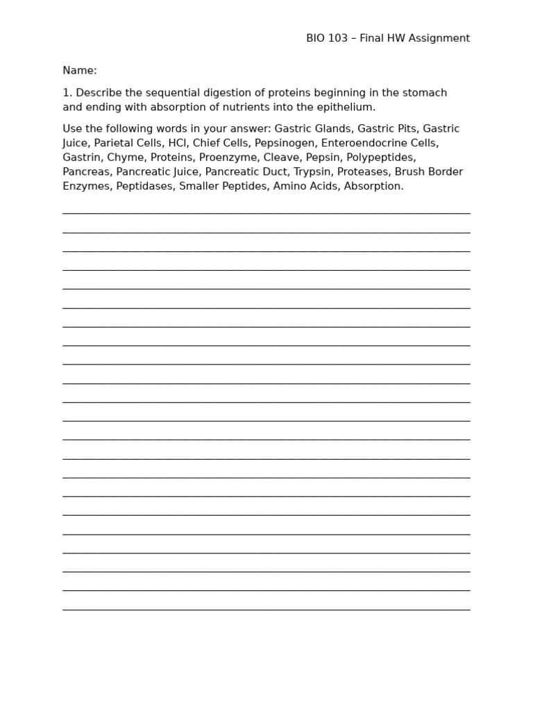 Digestive Processes in BIO 103 Homework | PDF | Stomach | Digestion