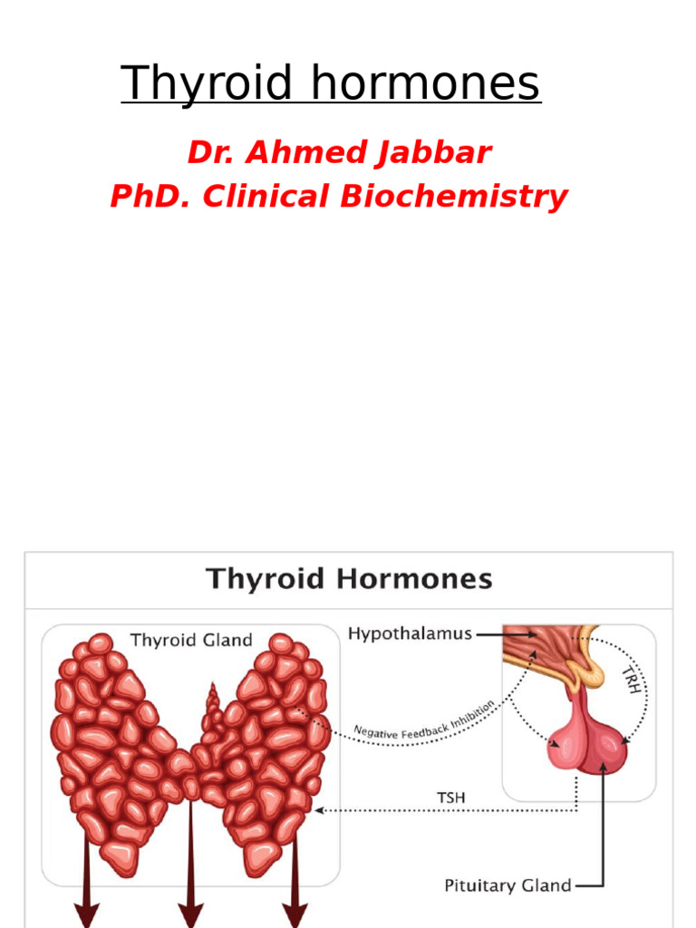 Thyroid Hormones | PDF