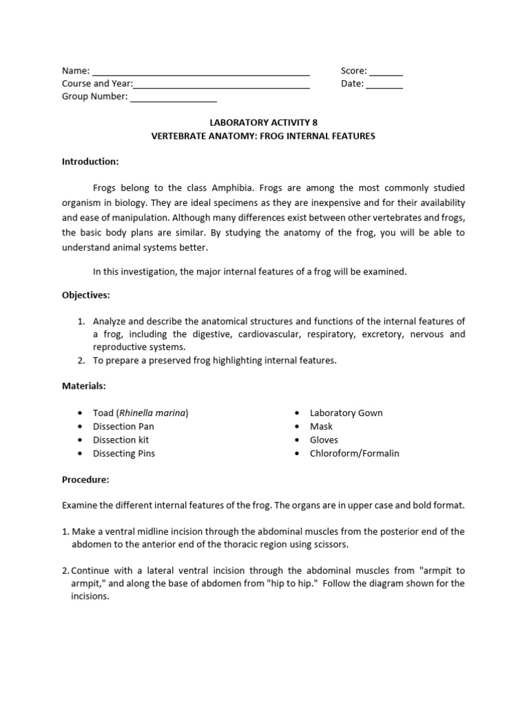 Vertebrate Dissection Internal | PDF | Stomach | Small Intestine